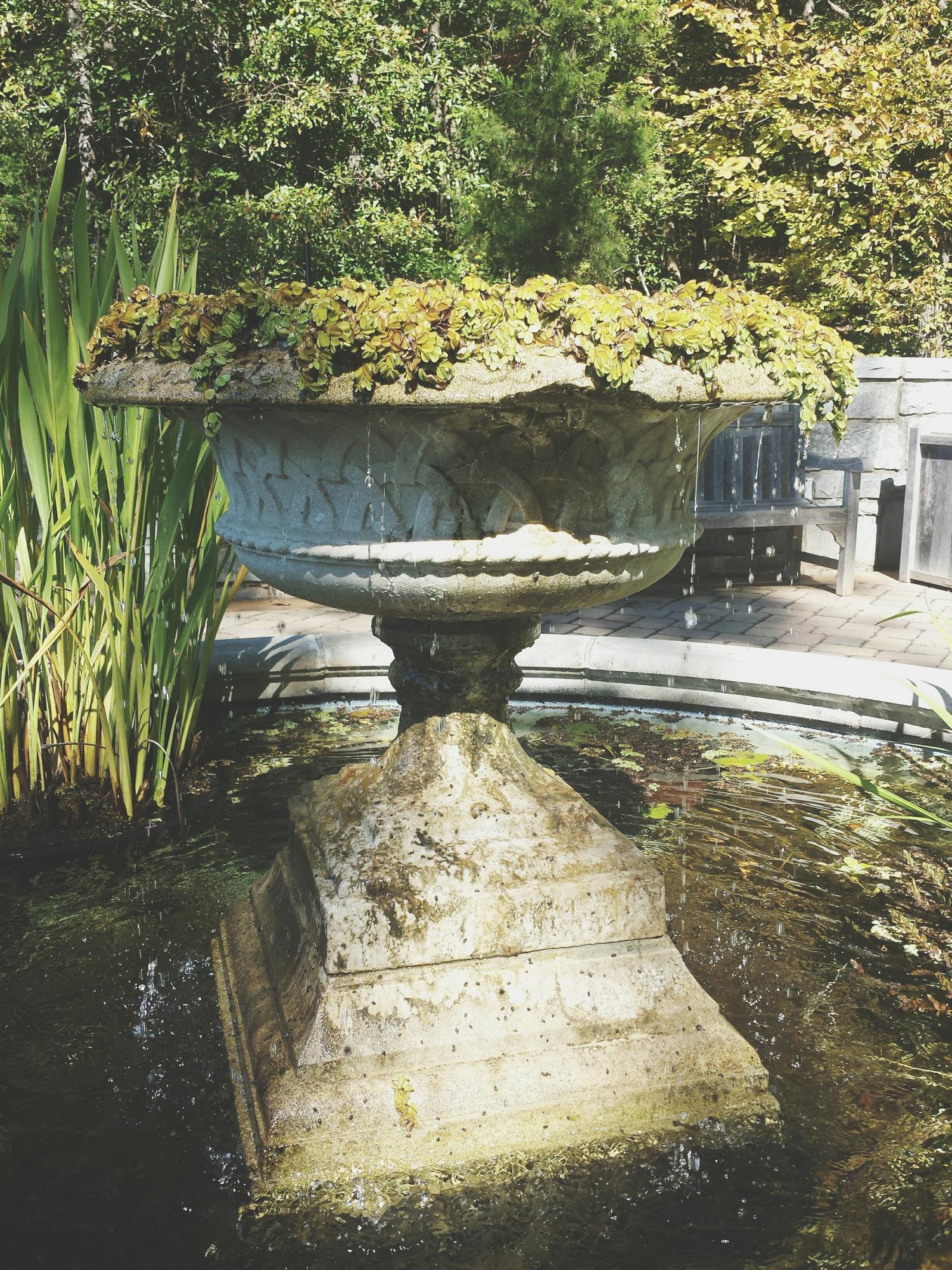 How to Use Natural Stone to Create At-Home Water Features - آپ استون