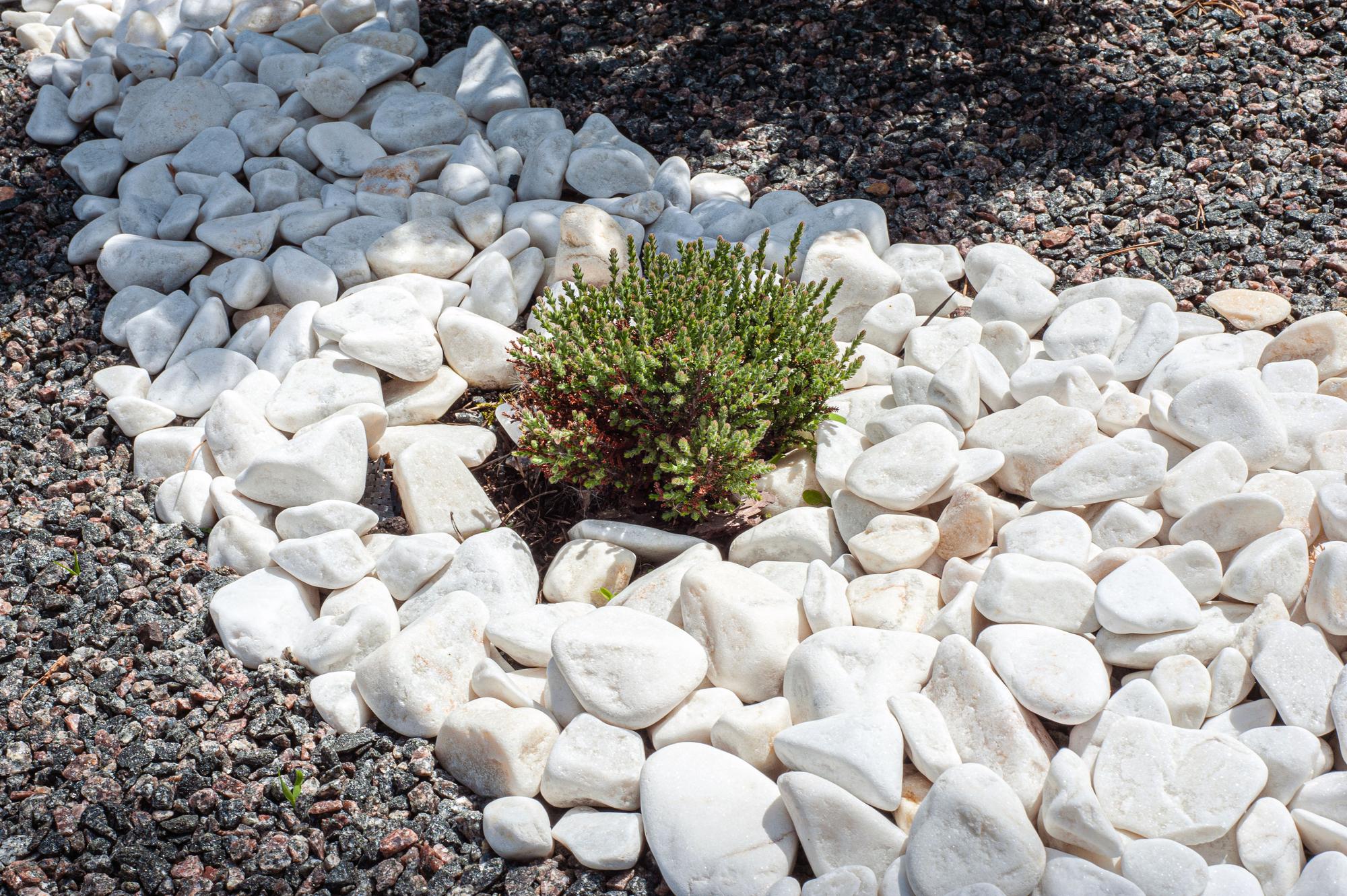 white marble stone for landscaping - آپ استون
